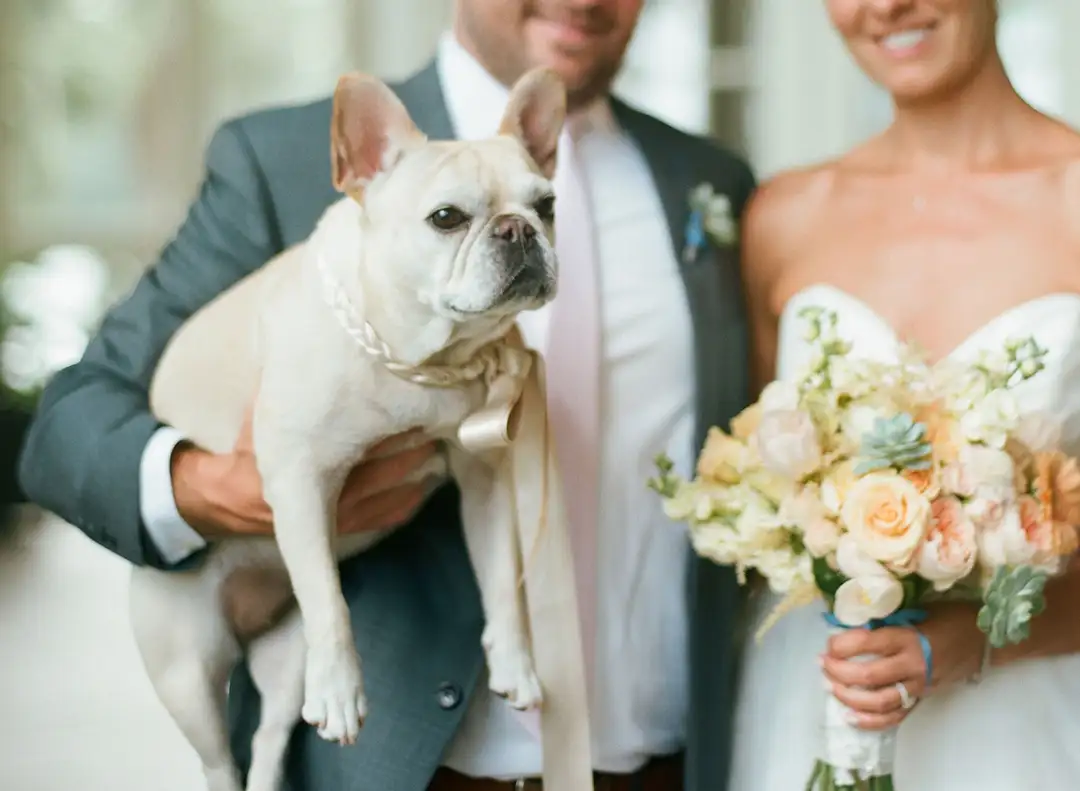 How to Include Puppies & Dogs at Weddings | Inside Weddings