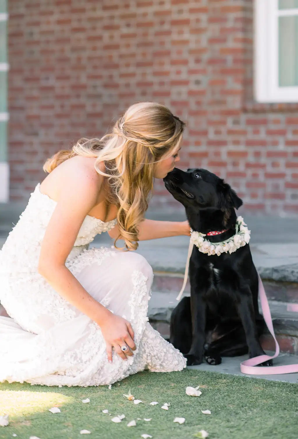 How to Include Puppies & Dogs at Weddings | Inside Weddings
