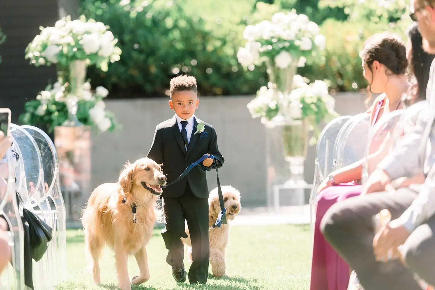 30+ Adorable Puppies & Dogs at Weddings | Inside Weddings