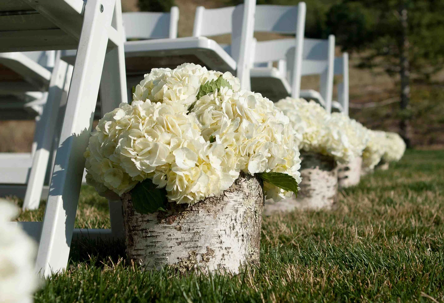 hydrangea wedding decorations