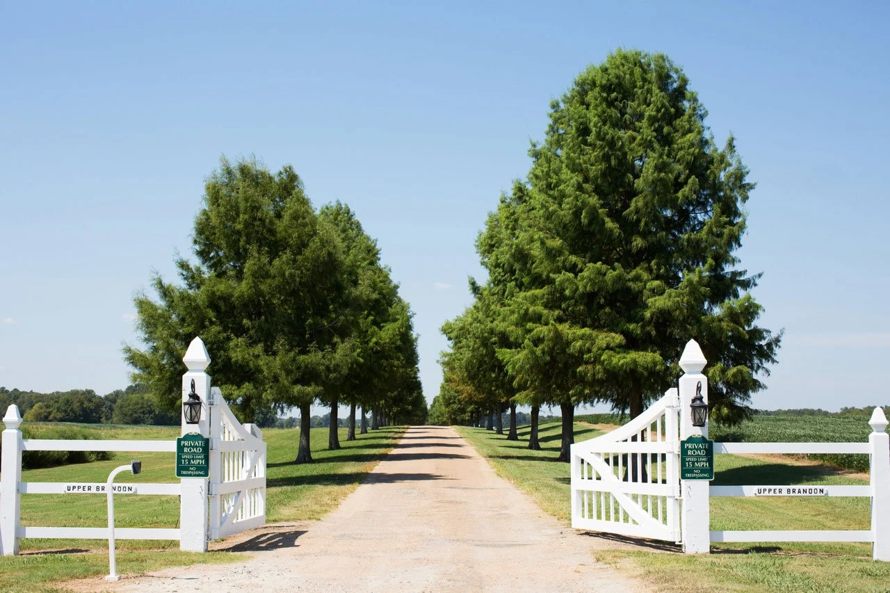 Upper Brandon Plantation