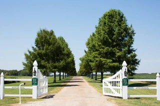 Upper Brandon Plantation