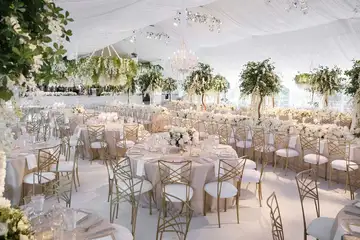 Bride and Groom Introduction Wording Advice - Inside Weddings