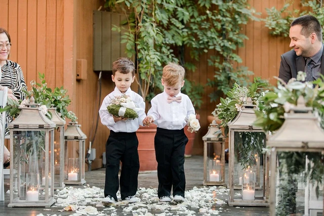 Adorable Pair of Ring Bearers