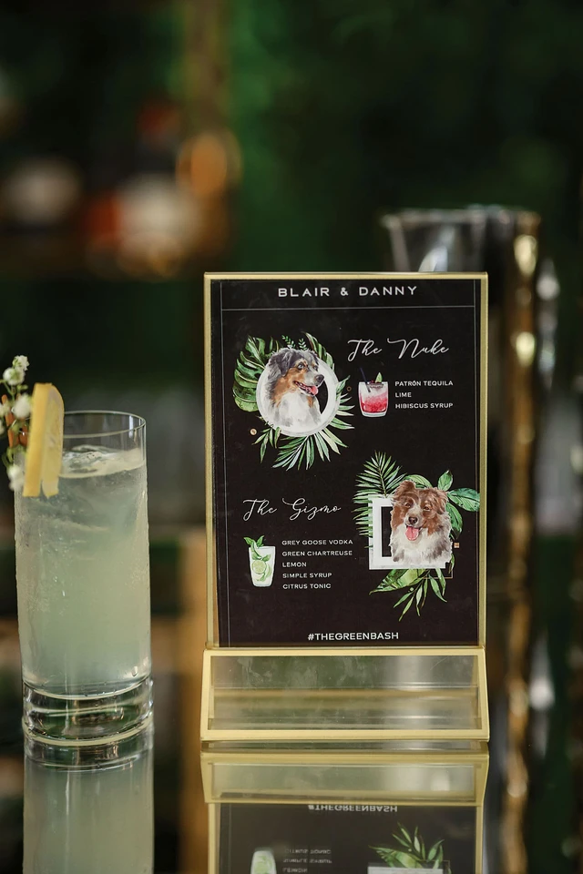 Celebrity Wedding: NBA Champion Danny Green & Blair Bashen