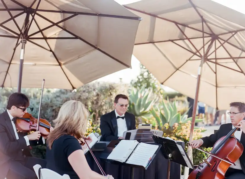 Instrumental Versions of Pop Songs Perfect for Your Ceremony