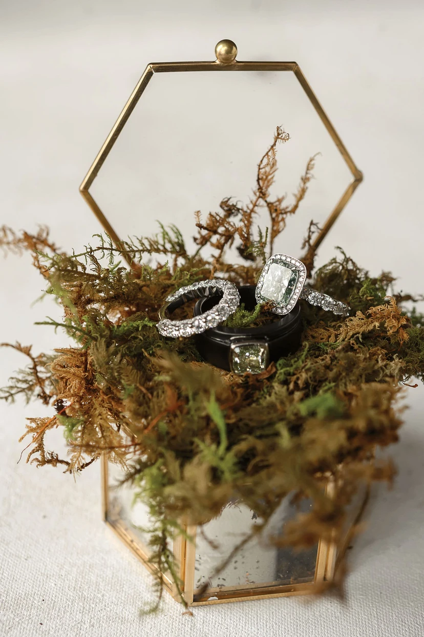 Celebrity Wedding: NBA Champion Danny Green & Blair Bashen